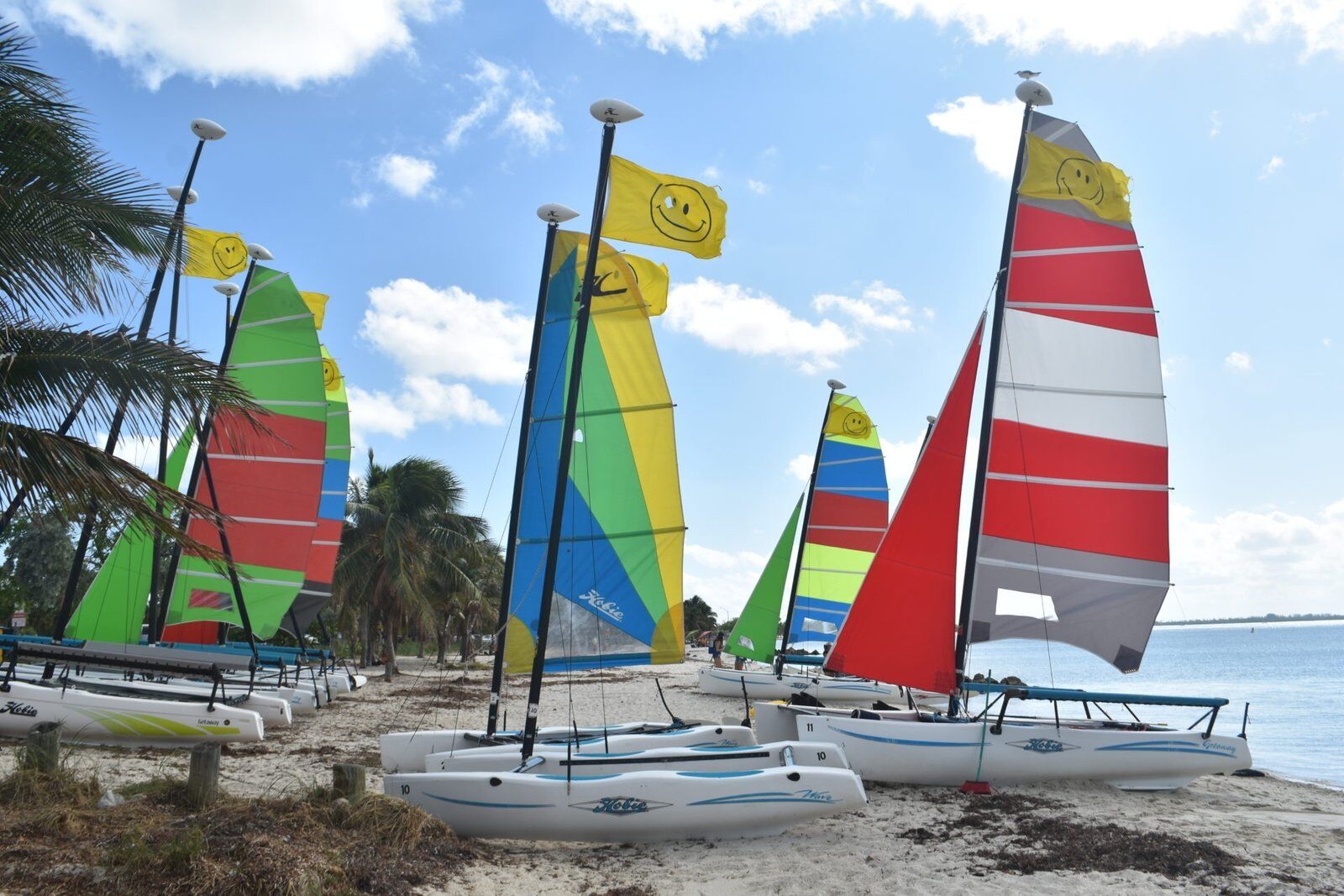 Hobie Cat Centre
